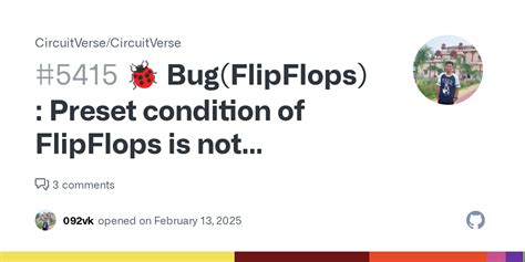🐞 Bugflipflops Preset Condition Of Flipflops Is Not Implemented