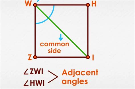 Adjacent Angles In Nature What Are Nonadjacent Angles