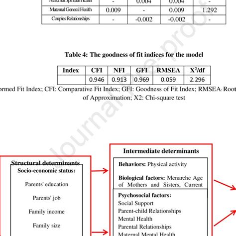 Conceptual Framework Of The Relationship Between Social Determinants Of