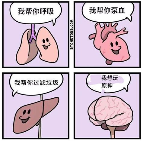 我想玩原神