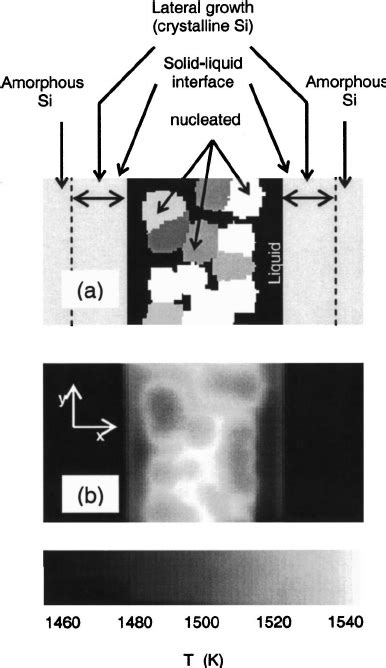 ͑ A ͒ Snapshot ͑ Planar View ͒ Of The Simulated Microstructure Showing