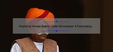 Exploring Human Sperm Under Microscope A Fascinating Window Into Fertility Sperm Blog