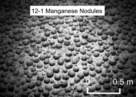 Sedimentsamples 12 1 Manganese Nodules Strewn Acrossthe Deep Sea Bottom Embedded In Matrix