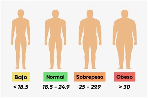 ¿cómo Saber Si Tu Cintura Mide Lo Que Debe
