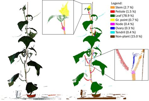 Example Of An Original Coloured Point Cloud Left And A Manually