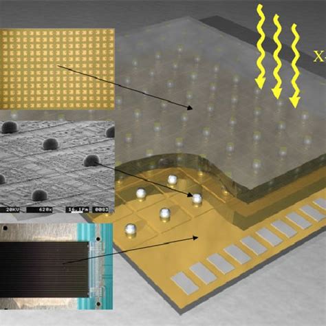 Schematic Representation Of A Sensor Readout Hybrid As Used In Hpc