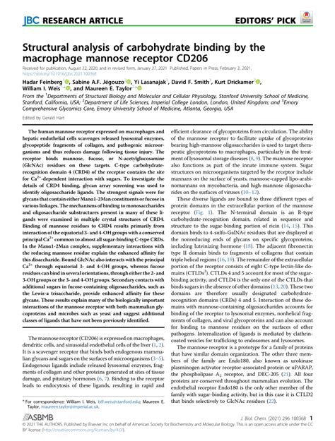 Pdf Structural Analysis Of Carbohydrate Binding By The Macrophage