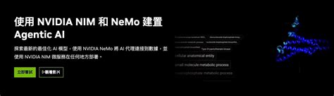 Nvidia Nim 全面指南：您需要知道的一切