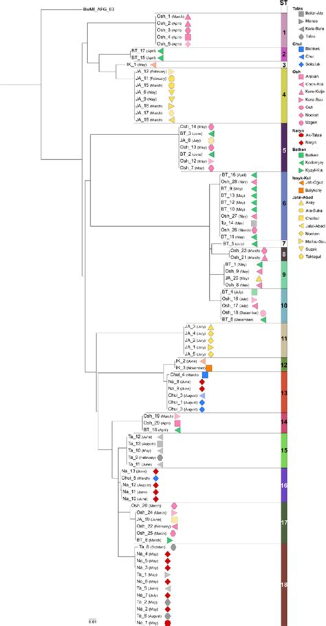 Maximum Likelihood Tree Based On Core Genome Single Nucleotide Download Scientific Diagram