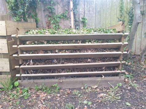 What Are These Tiny Bugs In My Compost Put Thumb In Video For Size Comparison The Camera Focus