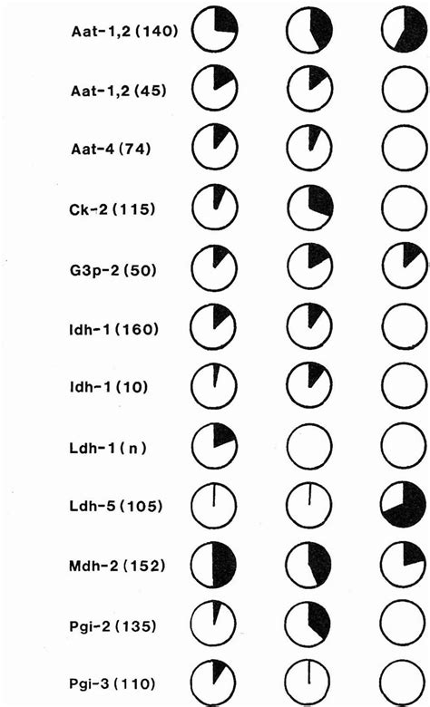 Genetic Variation At Polymorphic Gene Loci In Gillaroo Sonaghen And