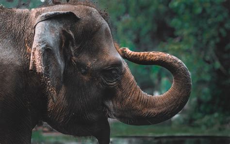 devopschat articles hadoop vs spark — choosing the right big data
