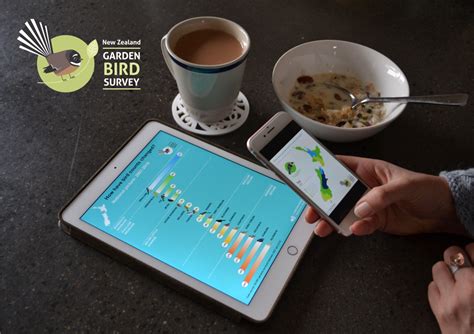 Plain Language Summary Giving Citizen Scientists A Voice Improves Engagement In Initiatives