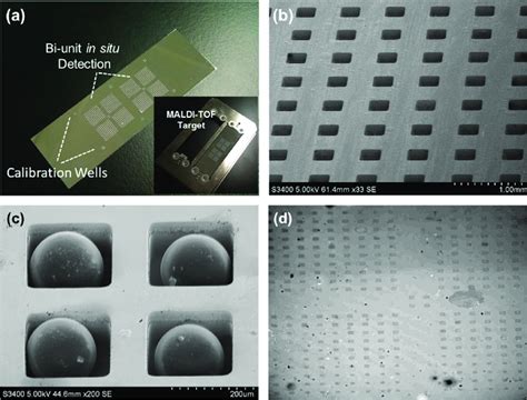 A Bi Unit Microwell Array Chip Inserted Graph Shows The Chip In