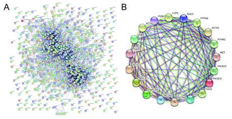 Results Of Differentially Expressed Protein Interactions Analysis A