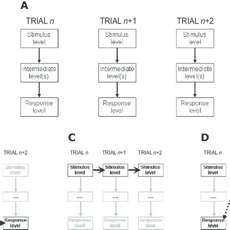 Information Processing And Sequence Learning In The Serial Reaction Download Scientific Diagram