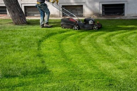 Grass Cutting Cork Best Grass Cutting 2026