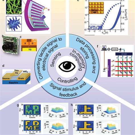Schematic Of Sensing Processing And Controlling Flow In Tactile