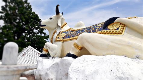 พระโคนนทิ โค นน ทิ หรือ เทวาลัยศิวะมหาเทพ ขอนแก่น Facebook