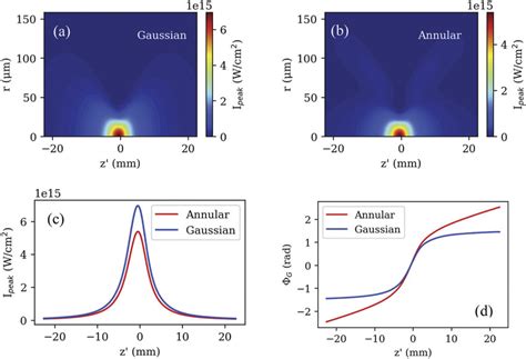 Numerically Simulated Laser Pulse Propagation Toward The Z′ Direction