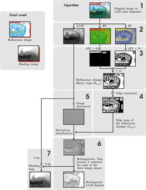 Figure 2 From A Biologically Inspired Algorithm For The Recovery Of