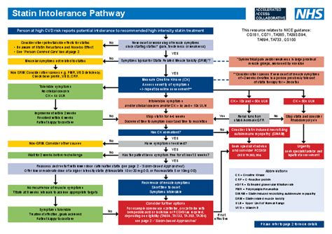 Statin Intolerance Pathway Content Medall