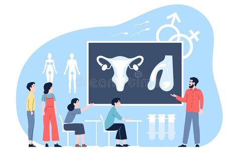 Sex Education At School Lesson For Teenagers About Male And Female Reproductive Systems Stock