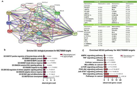 String Database Predicted Protein Protein Interacting Networks Pins Download Scientific