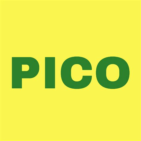 Pico บริษัท โซลูชั่นบิสซอฟต์ จำกัด