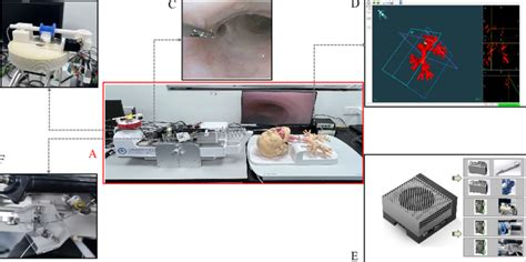 Robotic Bronchoscopy System A Robot And Bronchus Phantom B Biopsy Download Scientific