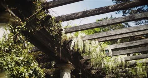 Neha Patel On Linkedin Hiring Career Innovation Developers