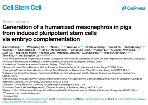 登上cell Stem Cell封面：我国学者成功在猪体内培养出实体人源器官细胞研究人类
