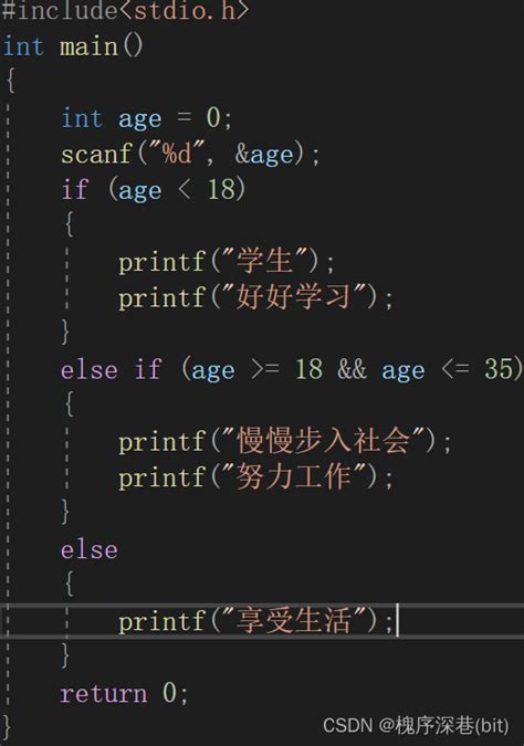 初识c语言：分支结构程序详解c语言 分支语句 例题 Csdn博客