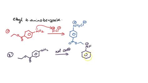 What Are The Reactions For Ethyl 4 Aminobenzoate Hcl Ethyl 4 Aminobenzoate Naoh Ethyl