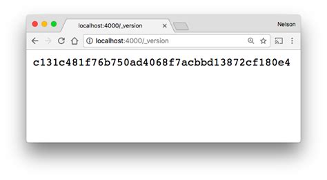 Read Git Revision Hash In Elixir · Issue 53 · Dwyllearn Elixir · Github