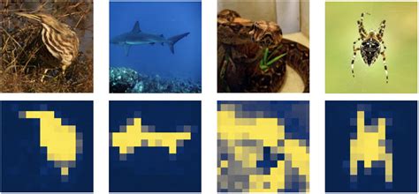 Attention Guided Masked Autoencoders For Learning Image Representations