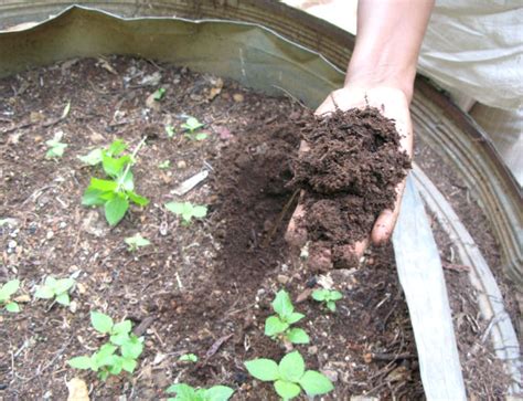 HERE IS HOW TO MAKE YOUR OWN COMPOST HELPFUL TIPS FOR BEGINNERS