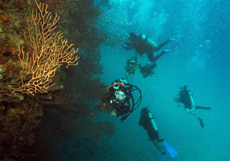 Isla Marchena Islas Galápagos Venelogía