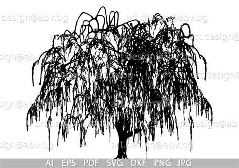 Willow Tree Svg Vector Weeping Willow Digital Download