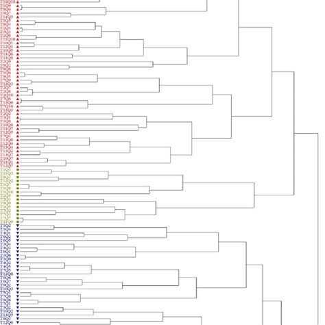 Cluster Dendrogram Showing Communities Classification Based On Sorenson
