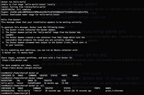 Docker Server Ubuntu Docker 설치
