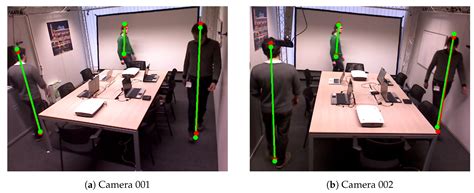 Automatic Multi Camera Extrinsic Parameter Calibration Based On Pedestrian Torsors