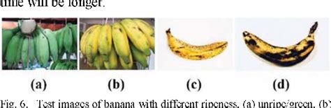 Figure 6 From Banana Ripeness Classification Based On Deep Learning Using Convolutional Neural