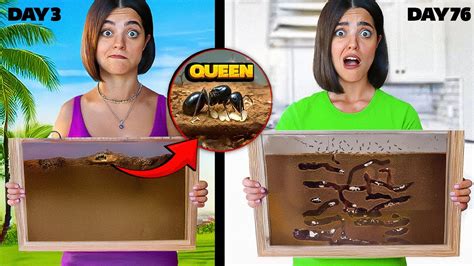 حیوون خونگی جدید گرفتیم 😍 Youtube