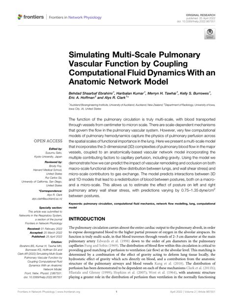 Pdf Simulating Multi Scale Pulmonary Vascular Function By Coupling