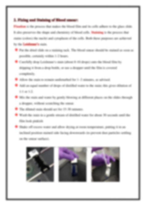 SOLUTION Lab 6 Blood Smear Studypool