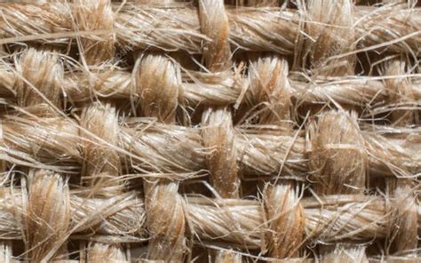 Sustainable Natural Fiber Reinforcement For Textile Reinforced Concrete Components Vit