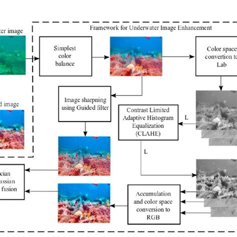 PDF Framework For Underwater Image Enhancement