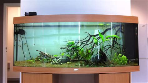 Juwel Vision 450 Aquarium Update 4 12 11 Youtube
