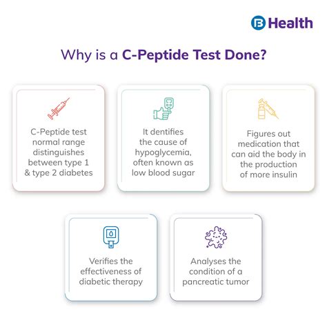 C Peptide Test Normal Range Purpose Procedure And Results